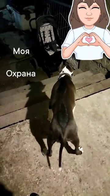 63 Видение в ночное время