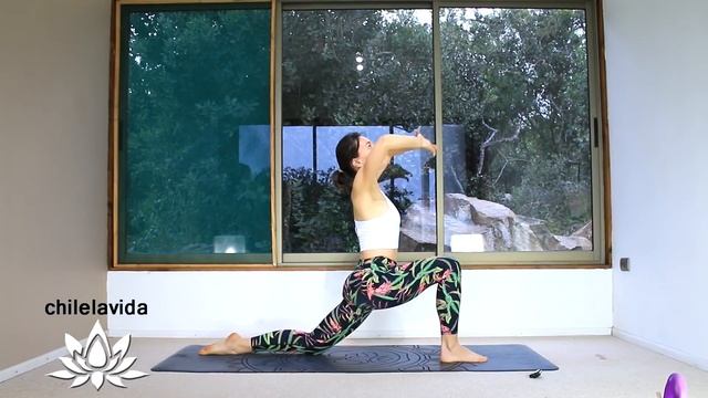 71. Виньяса йога для начинающих 24 мин _ Йога chilelavida