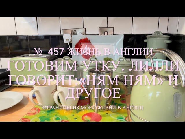 Переезд. Готовим утку, а Лилли говорит: «Ням, ням». №457 Жизнь в Англии