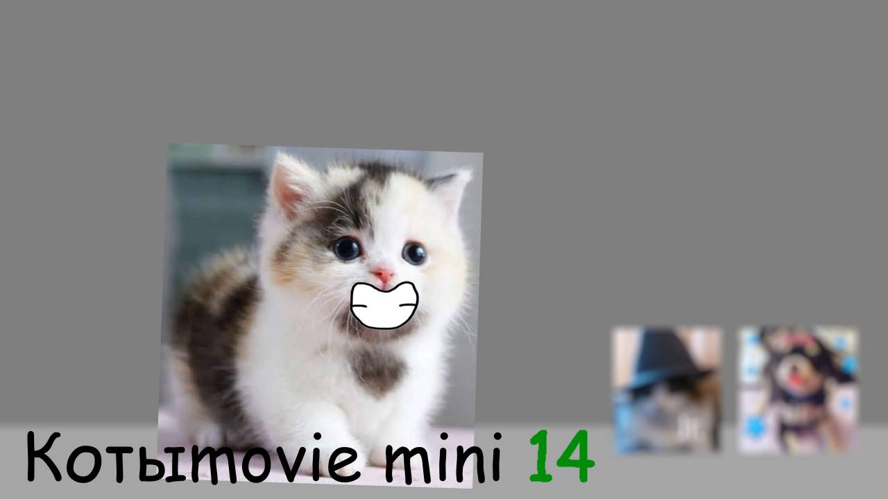 Котыmovie mini 14