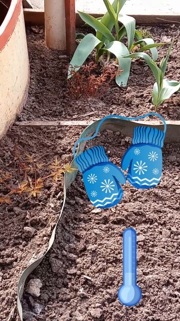 Возвратное резкое похолодание в апреле пережили без потерь