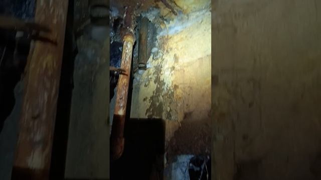 ХВС,труба приказала долго жить.#Гебо спасёт положение.