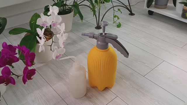 Навожу чистоту у ОРХИДЕЙ 💦 ПОЛИВ/ПРОТИРАНИЕ ЛИСТОЧКОВ 🌿 Новые РОСПУСКИ🌸