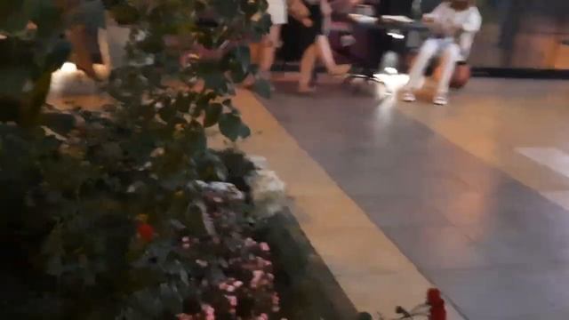 Адлер_2024__Мандарин__сборы_домой__[1]