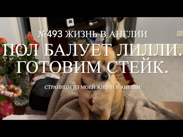 Пол балует Лилли. Мы готовим стейк. №493 Жизнь в Англии