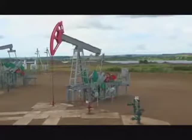 Любимое дело. Выпуск 6