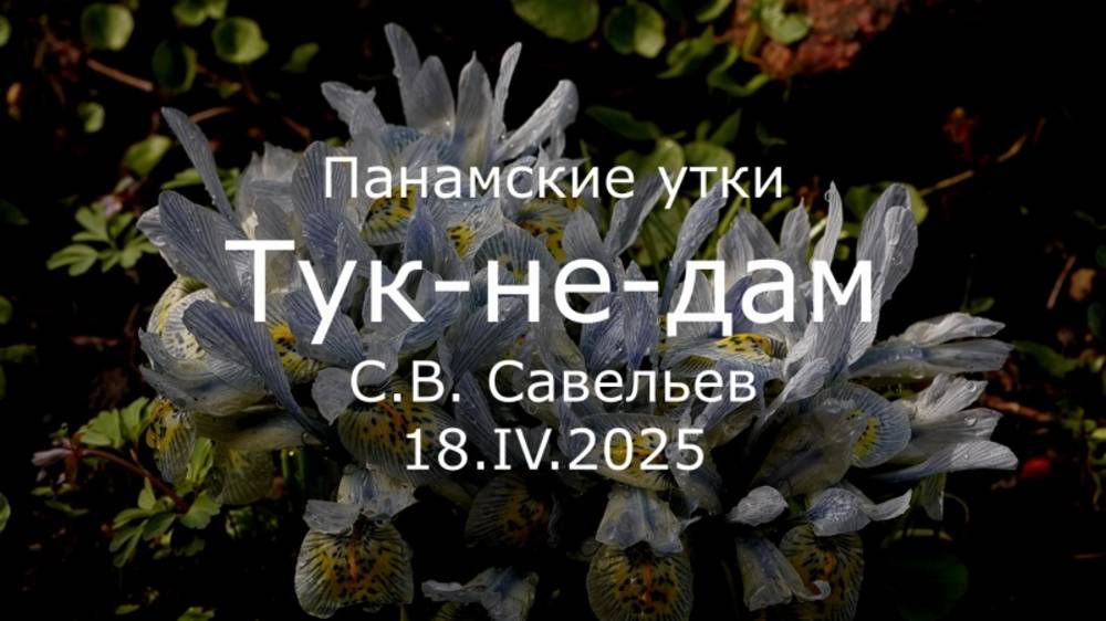 С.В. Савельев - Тук-не-дам