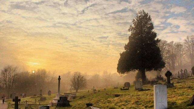 Кладбищенские истории