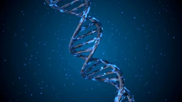 Use, used to, be used to, get used to