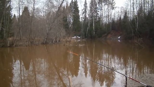 Первый  выезд  на  рыбалку.  Речка  Шистом,  приток  Ветлуги.