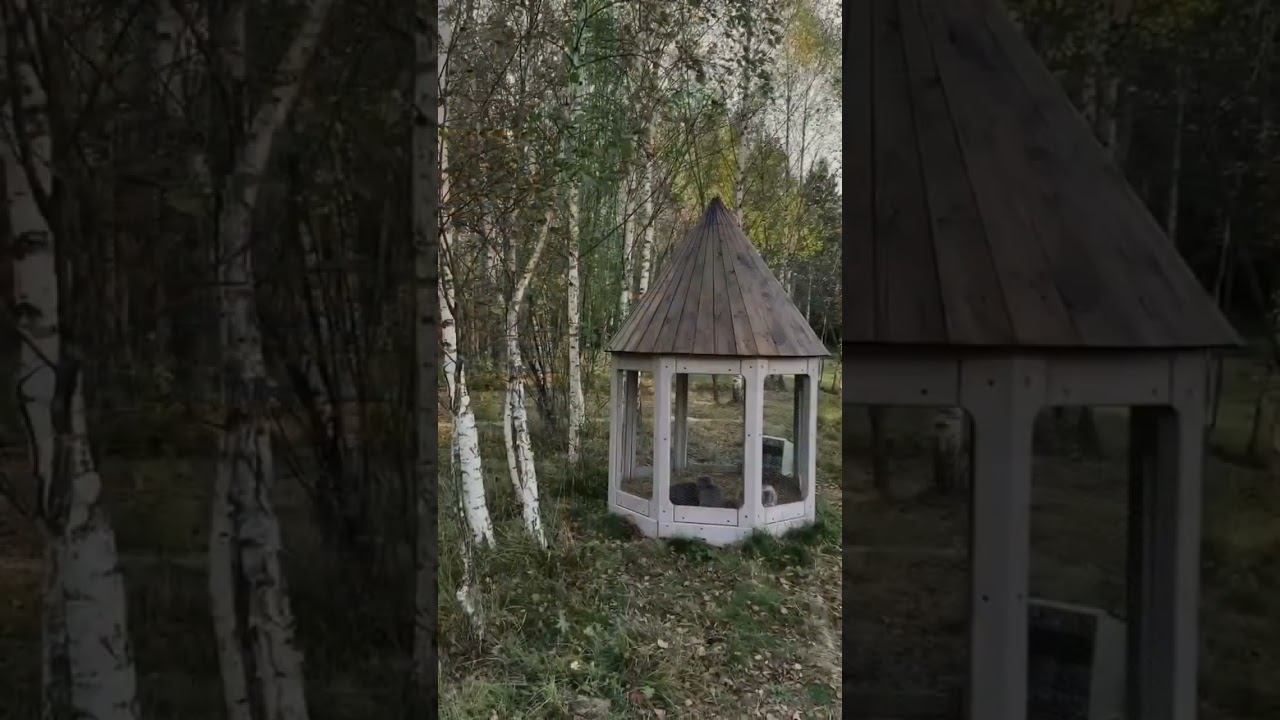 Глэмпинг В кронах в Свистухе, Московская область | Трипинглэмп