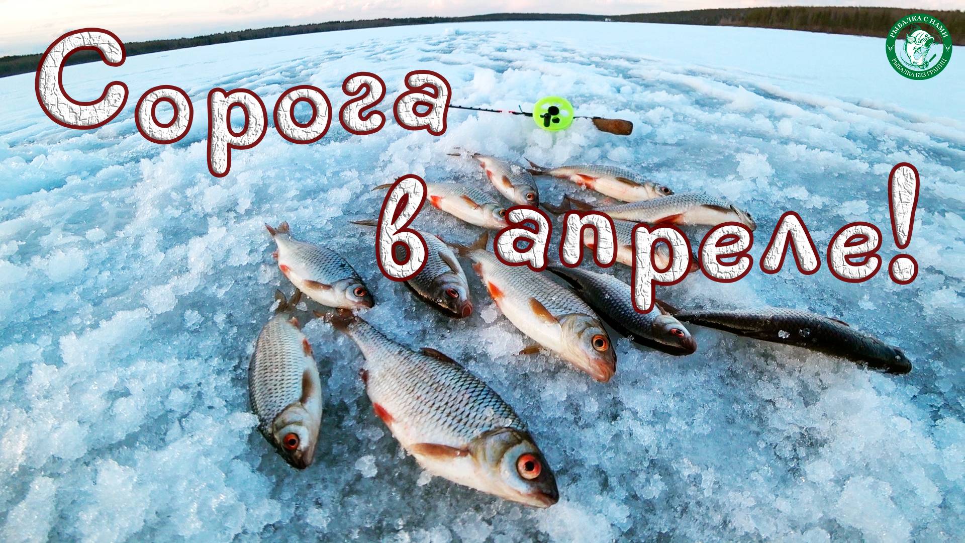 ПРИШЛА ЗИМА В АПРЕЛЕ, РЫБАЛКА НА ЛЕНЁВКЕ ПО БЕЛОЙ РЫБЕ, НА ПАРУ СКОВОРОДОК ЕСТЬ, ЛОВИМ НА УРАЛЕ!