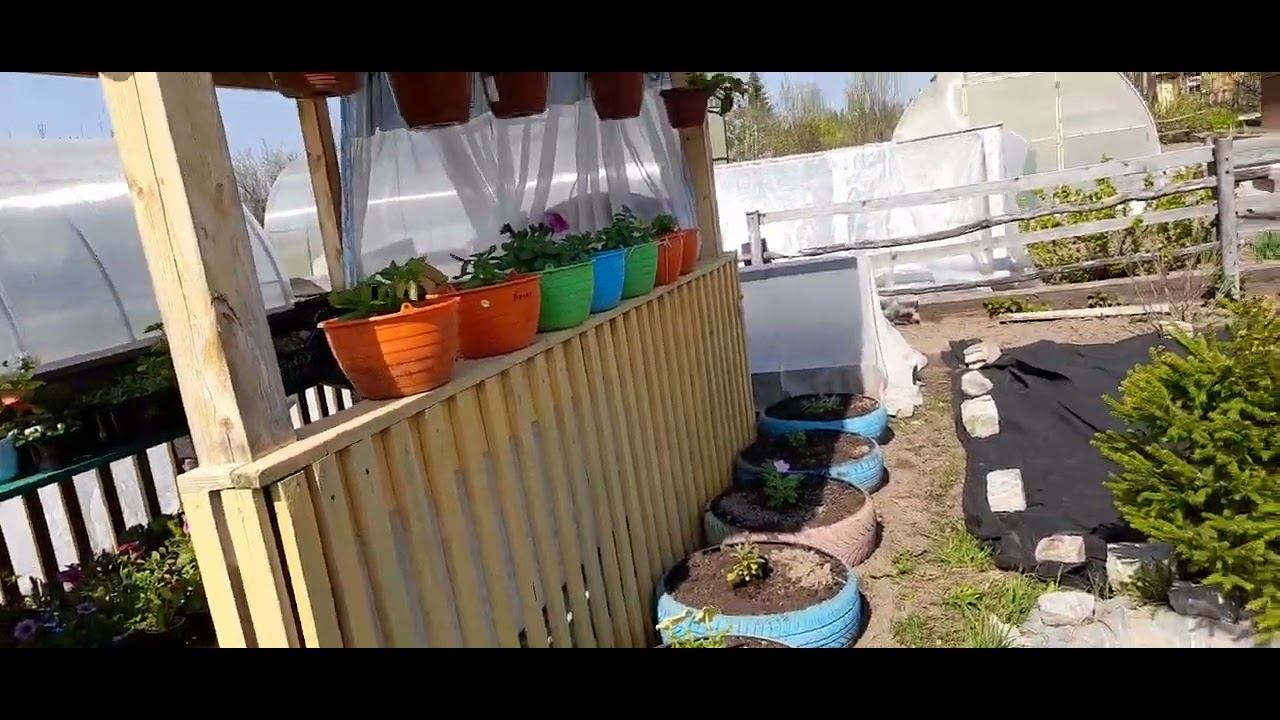 17 мая 2023 года. Моя дача.Общор моего огорода.