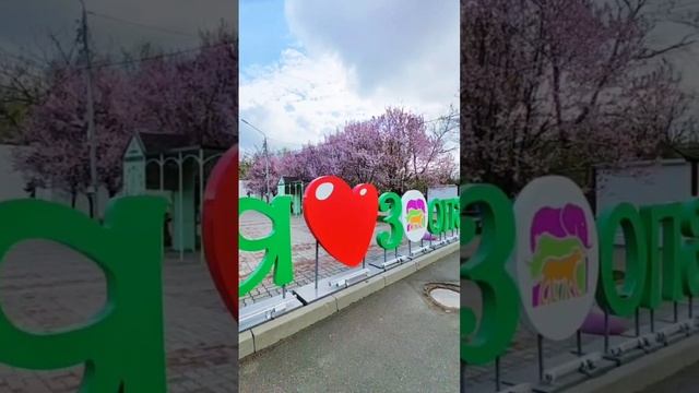 🌸 Один раз в год сады цветут…