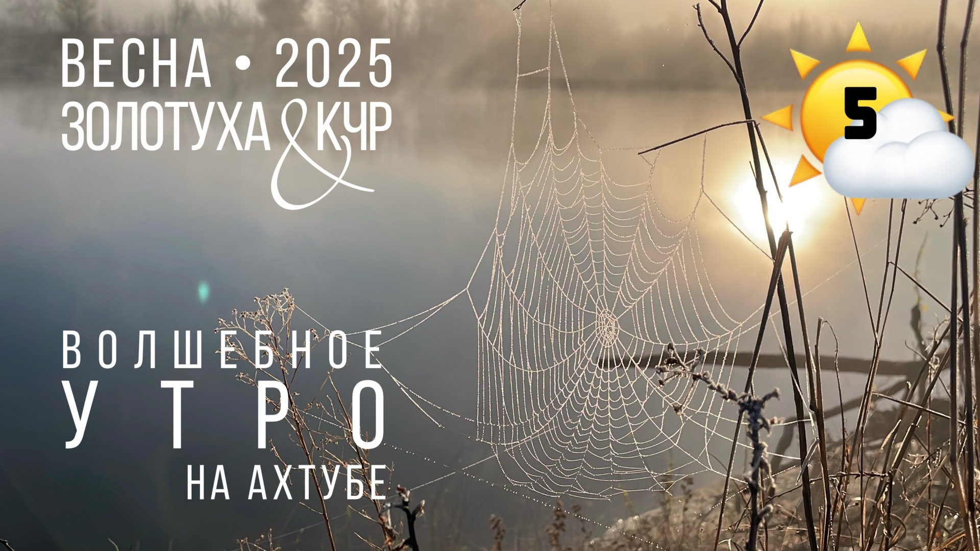 Волшебное утро