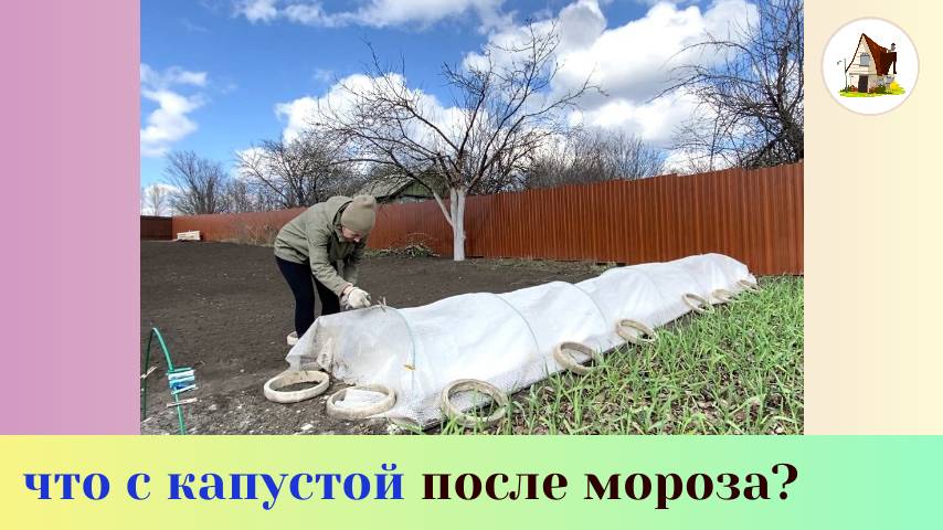 После апрельских морозов. Хроники 12.04.2025