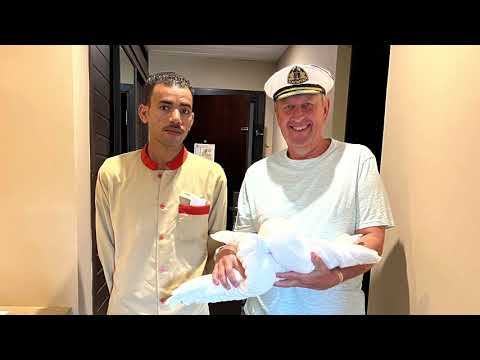 Скорпион в комнате и тур продолжается. Что можно купить в Jaz Aquamarine. 21.10.2022