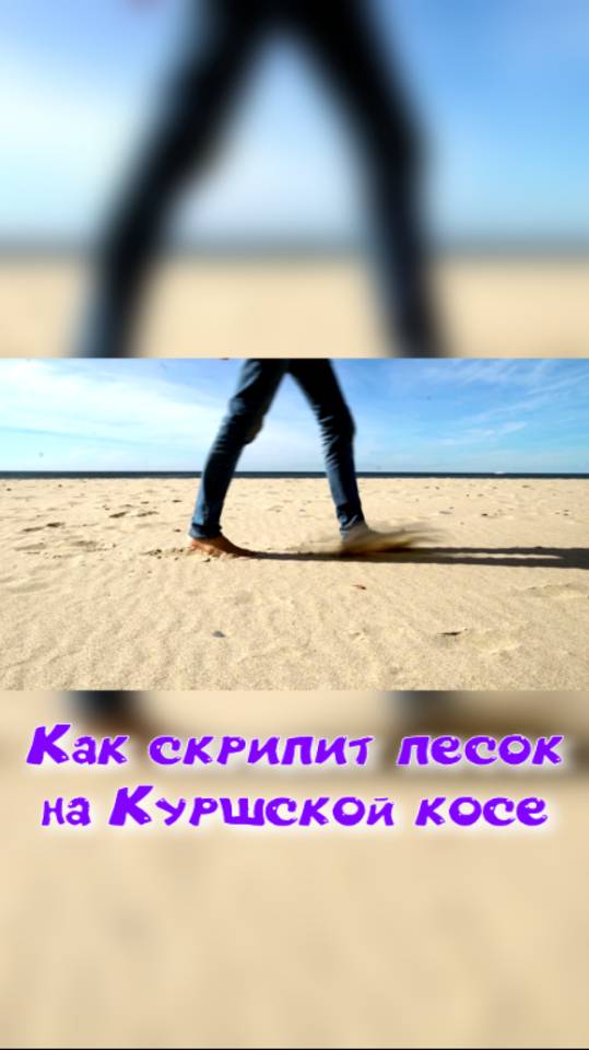 Вот так скрипит песок на Куршской косе