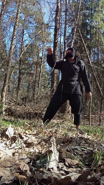 Very Nordic Ninja: Strike from Below (14.04.2025) Крайне Северный Ниндзя: Удар Снизу