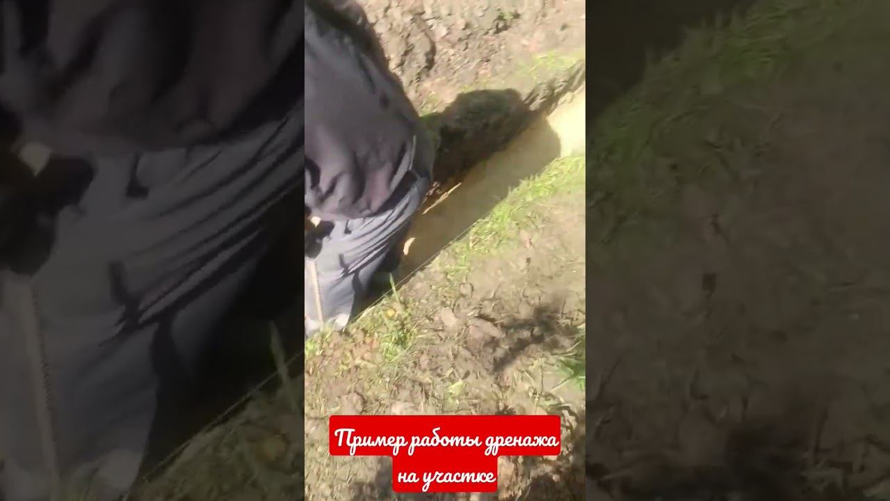 Пример работы дренажа на участке