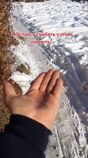 Горжусь ими 😂