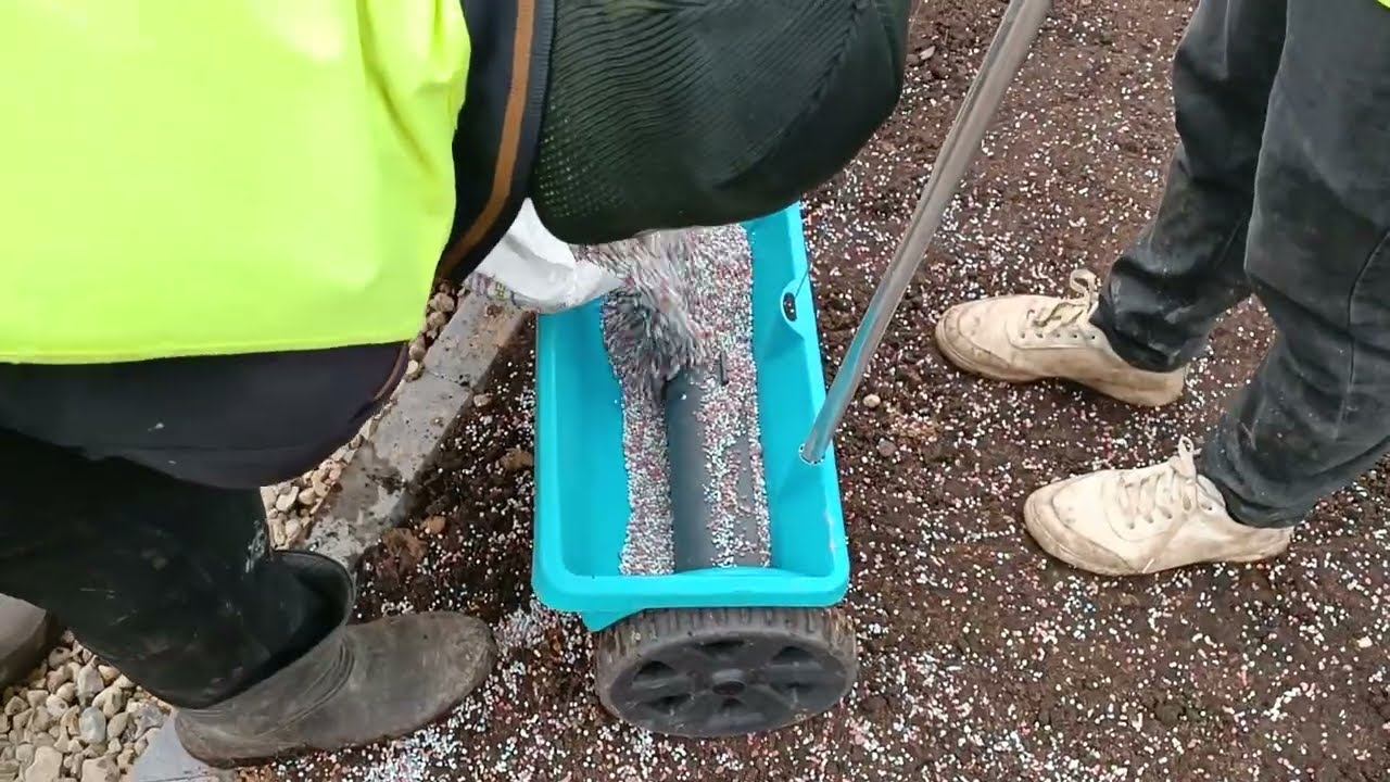 Посев газона, вносим удобрения в почву.