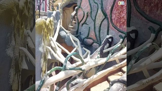 Крейзи Хаус_Далат Вьетнам 🇻🇳 .mp4