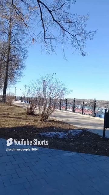 #shorts  Красота#shorts