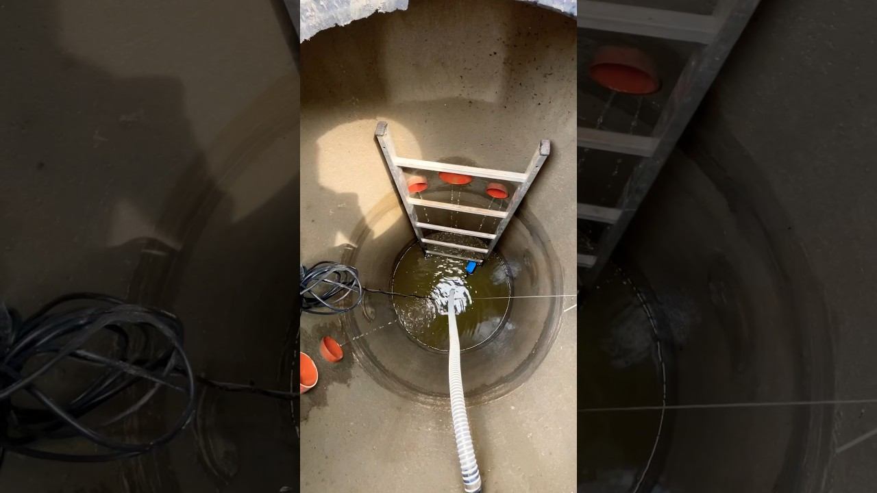 Зачем нужен дренаж на участке?! #благоустройствоучастка #дренаж#ливневка