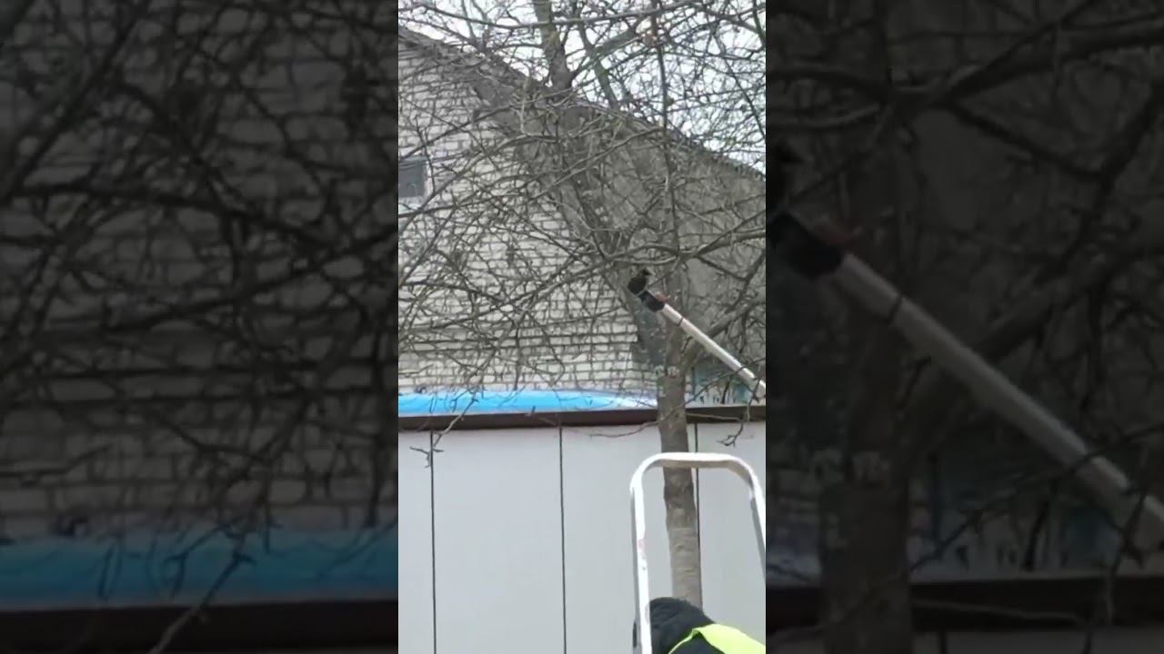 Сезонная обрезка деревьев