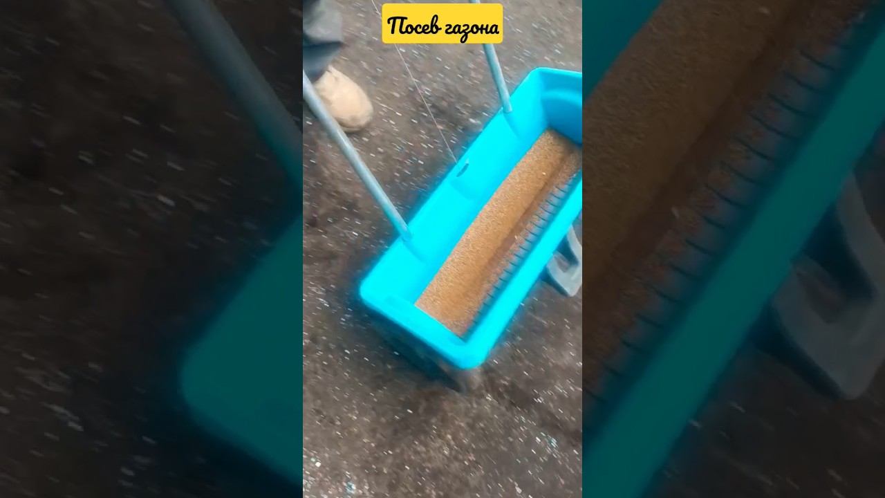 Посев газона