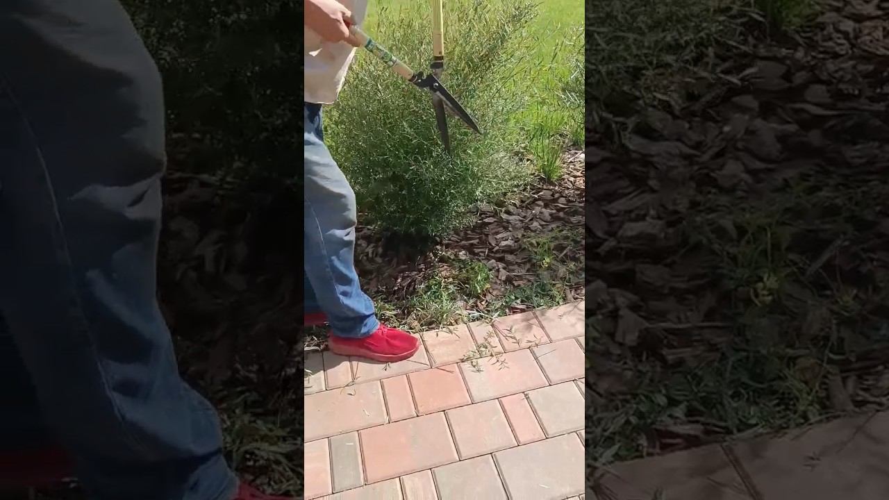 Уход. жа садом