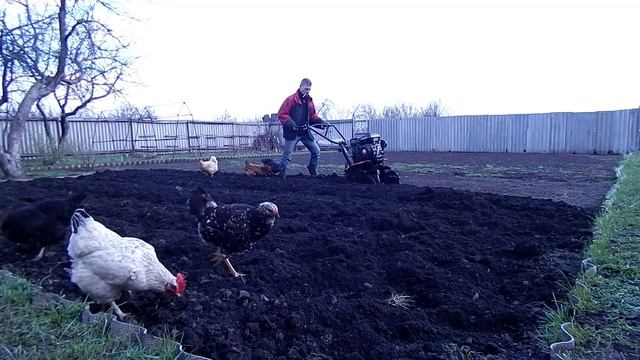 Весенние хлопоты