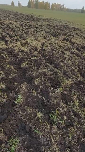 Культиватор ТехСпецКомплект КСКП-6