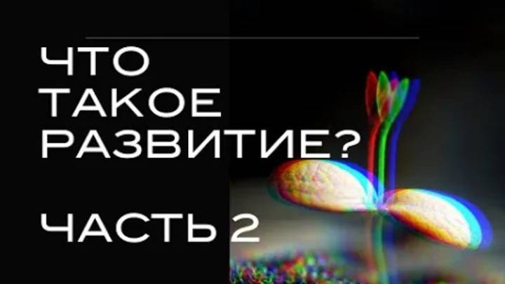 Человек — эволюционный путь развития