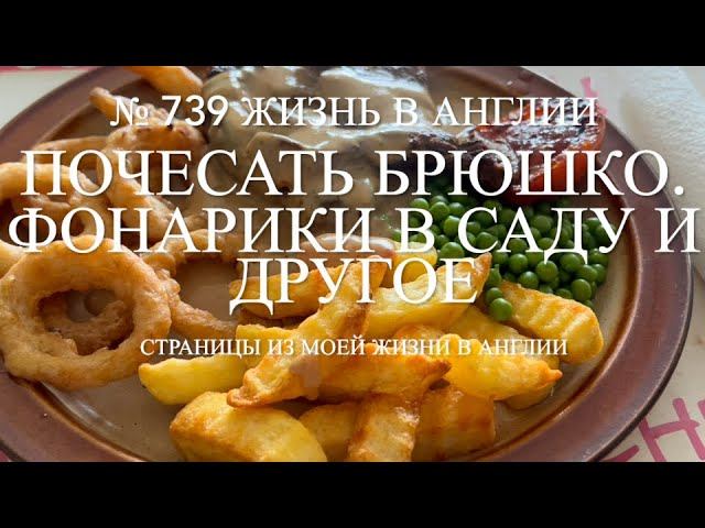 Почесать брюшко. Фонарики в саду. Обзор покупок и другое. № 739 Жизнь в Англии