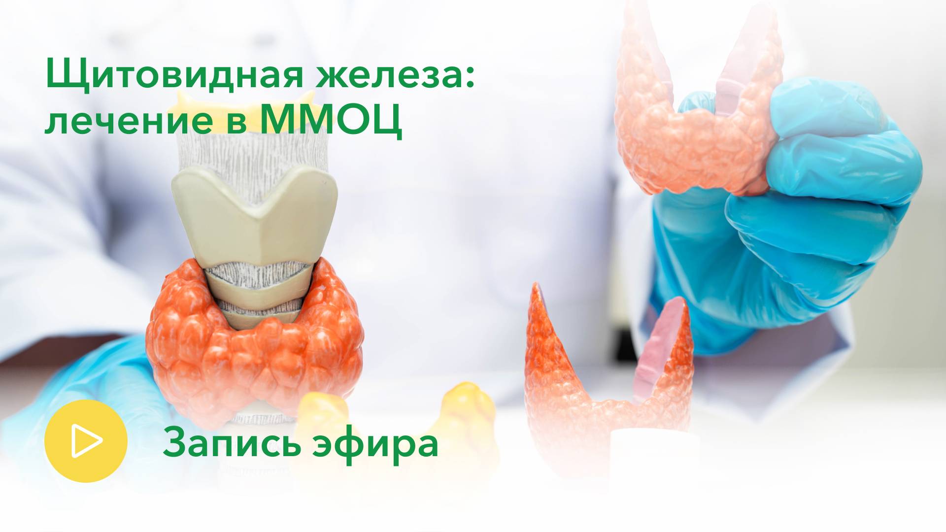 Щитовидная железа: лечение в ММОЦ