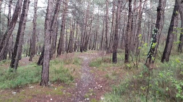 прекрасная расслабляющая музыка