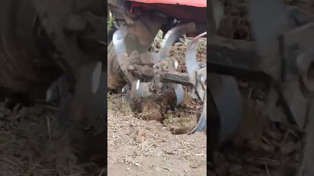 Культивация земли.