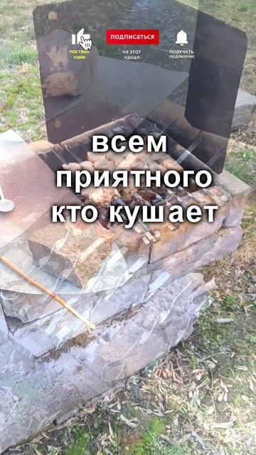 Первый шашлык #shorts