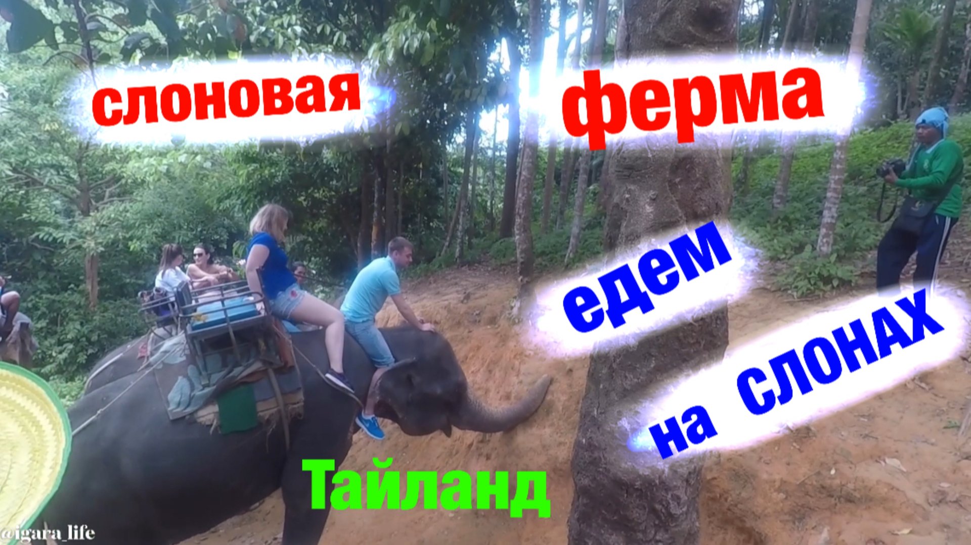 Слоновая ферма / катаемся на слонах (Тайланд, архив)