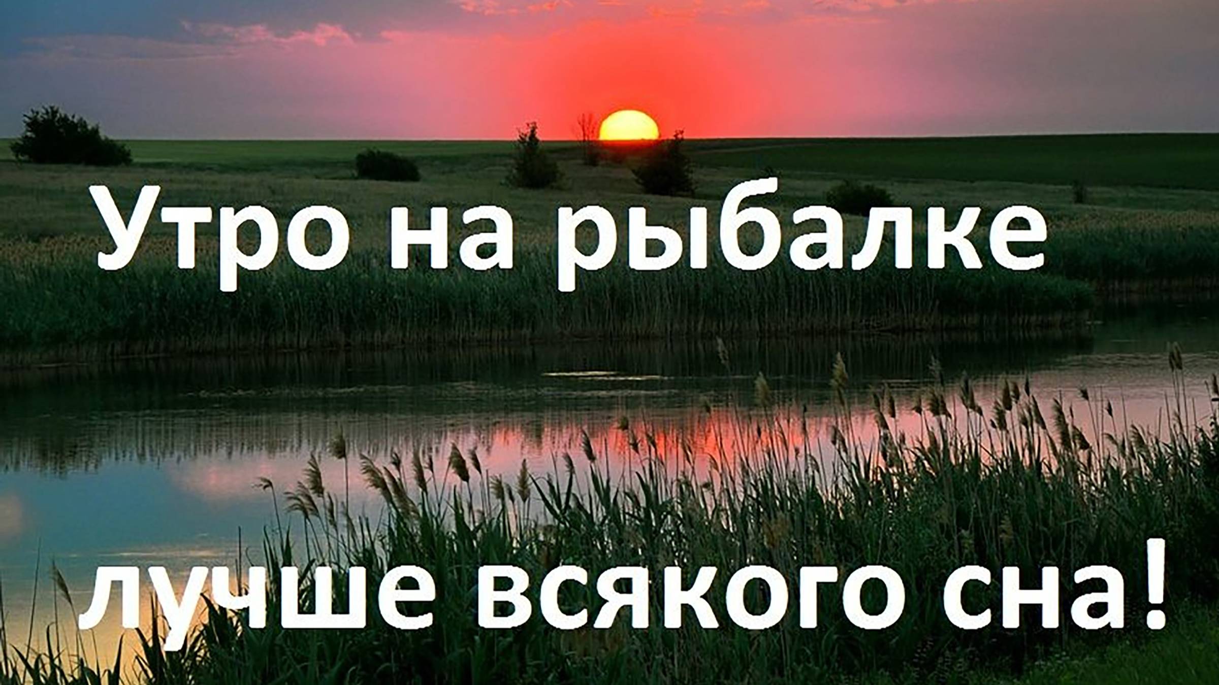 Почему Щука Не Клюет? Что Не Так в Моей Осенней Рыбалке?