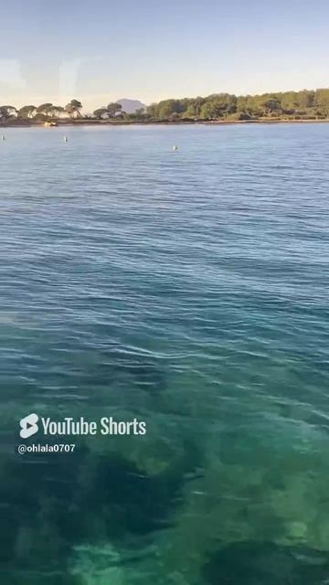 Прекрасный Лазурный берег