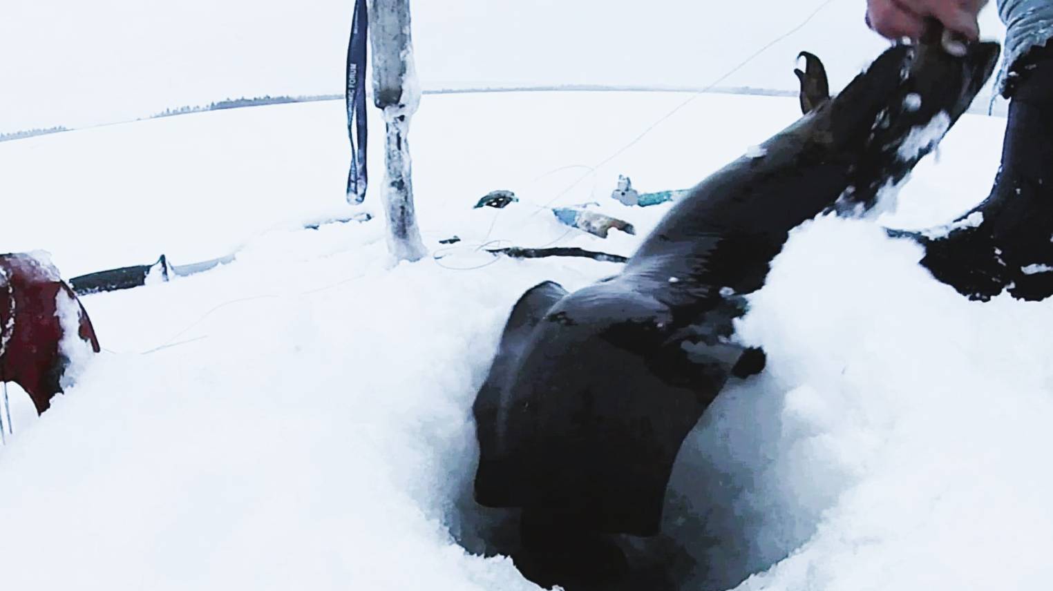 Заехал на разливы. Ловлю НАЛИМОВ. Трофейные ТУШКИ как подводные лодки.