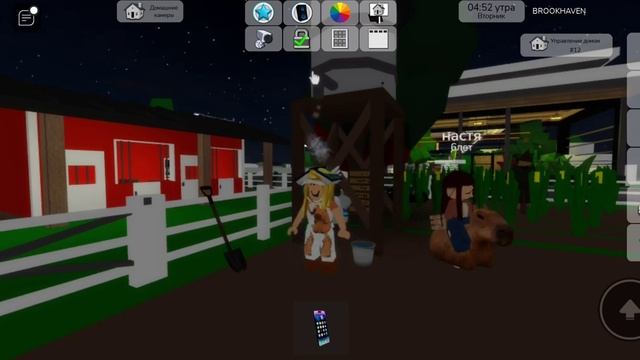 Играю с Настей в Roblox Brookheaven