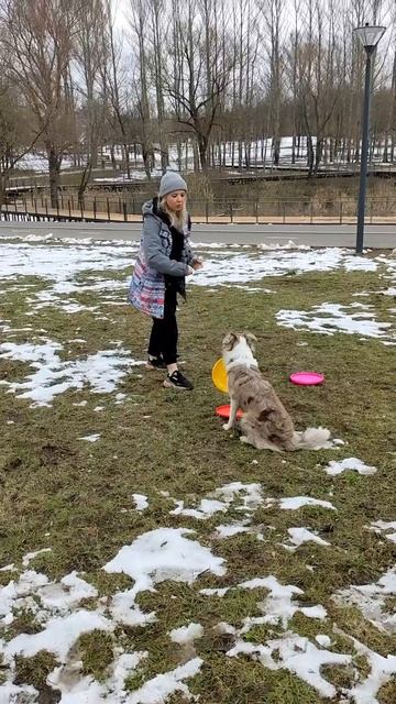 БК Рокси - совместные движения, каскад, совместные движения