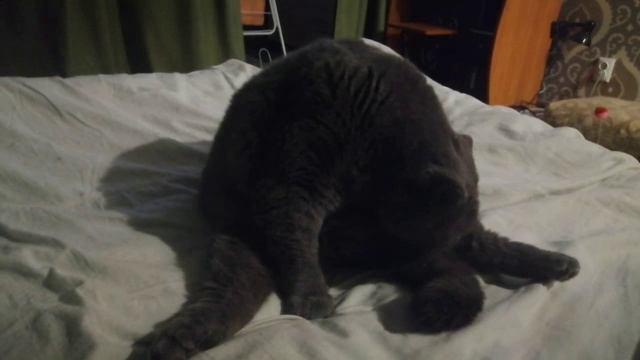 Михалыч любит травку