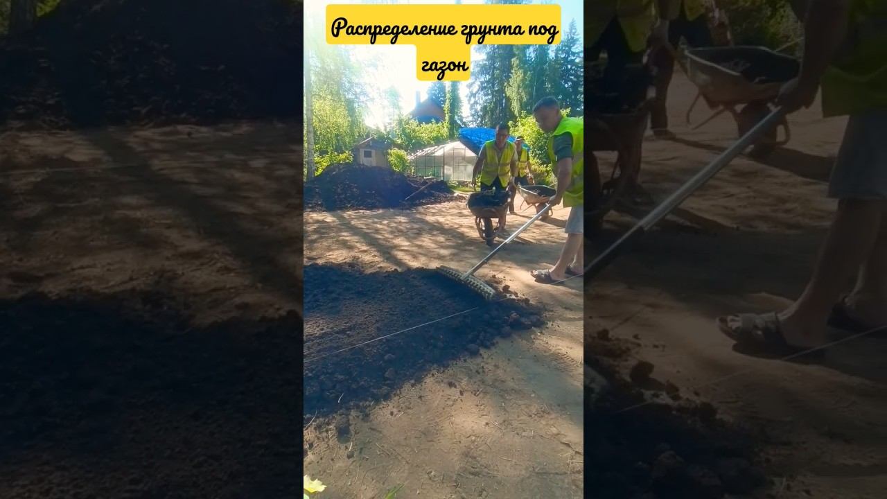 Распространение грунта + посев газона