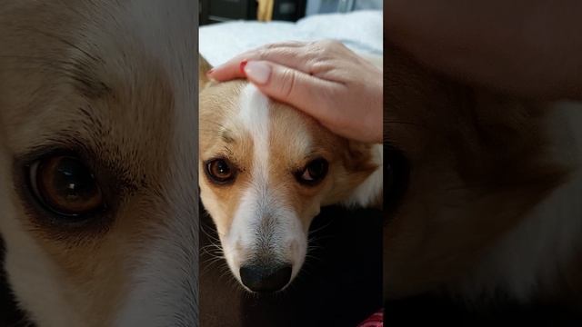 Моя любовь 💘