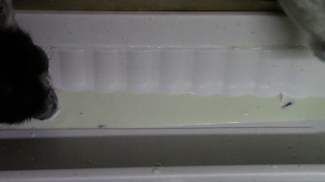 Муромцево 14 апреля 2025г Жили у бабуси три козлика...